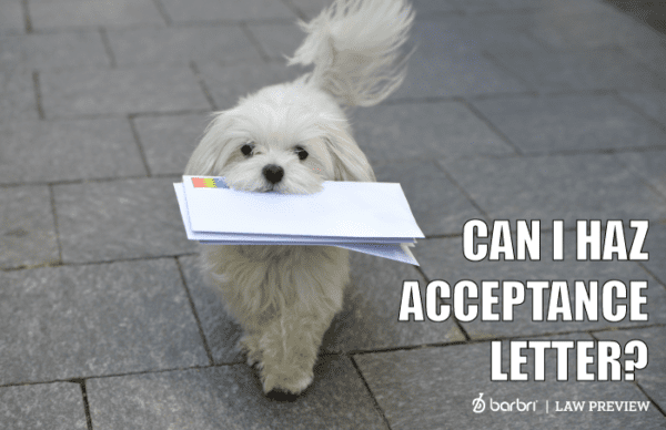 Your Journey to Becoming a 1L, As Told in Dog Memes - Law Preview